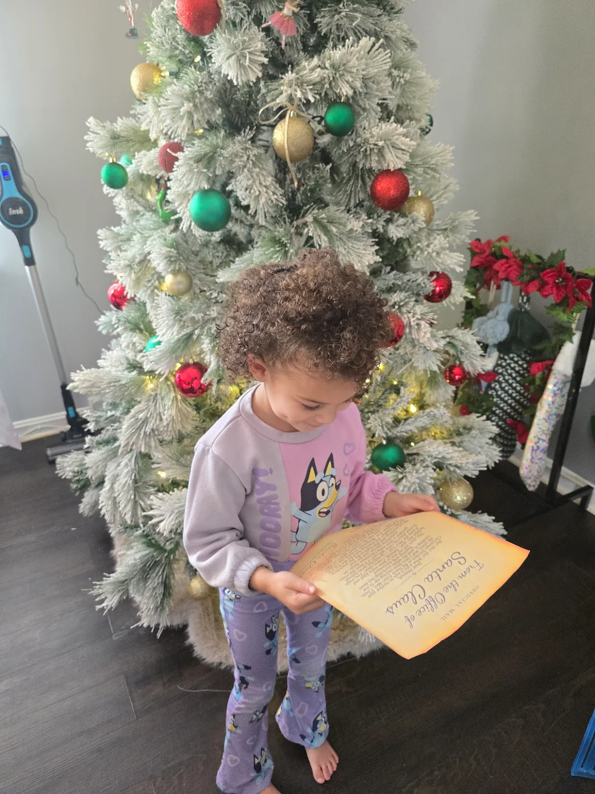 True North Letters - Personalized Santa Letters from the North Pole